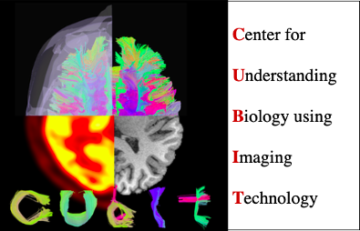 Center for Understanding Biology using Imaging Technology (CUBIT ...